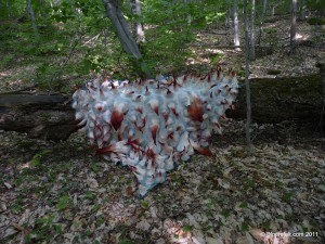 Marjolein Dallinga: If you felt your life with both hands, you are now ...