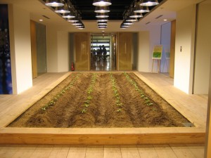 The largest urban farm in Japan - 2LUXURY2.COM