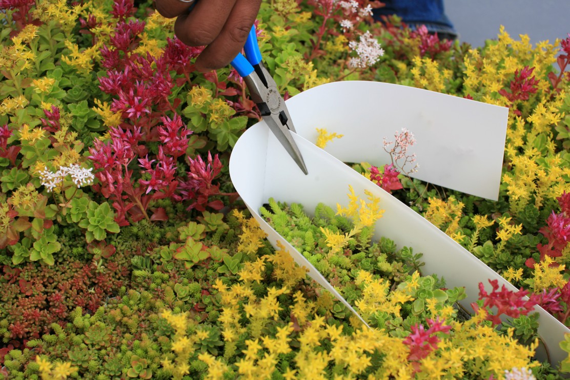 LiveRoof Soil Elevators Create an Instant, Seamless Green Roof ...