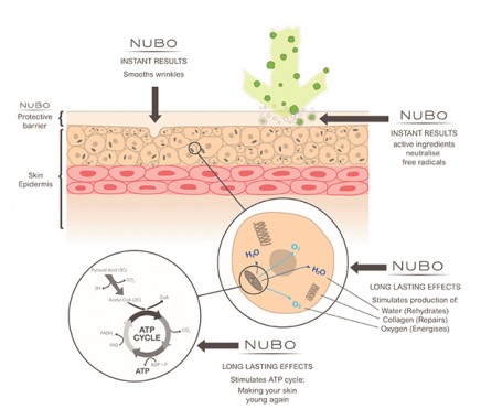 The ultimate fuel for skin cells - 2LUXURY2.COM