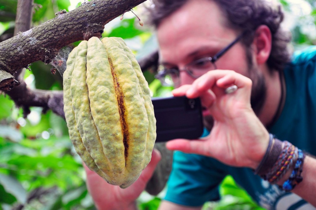 World's most rare dark chocolate puts special emphasis on terroir ...