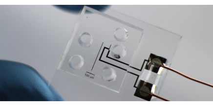 'Water chip' prototype for effective desalination - 2LUXURY2.COM