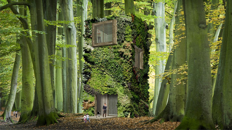 urban forest cities - Raimond de Hullu’s designs for urban forests ...